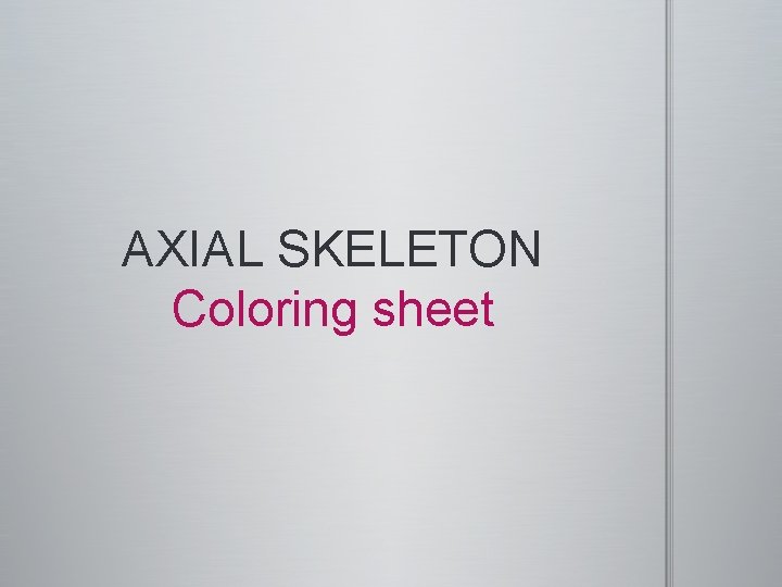 AXIAL SKELETON Skull Sternum Ribs Vertebral column AXIAL