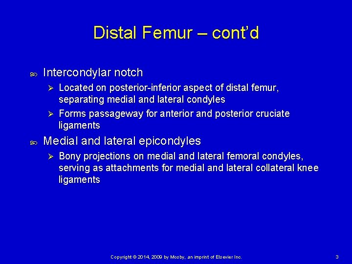 Chapter 10 Structure and Function of the Knee