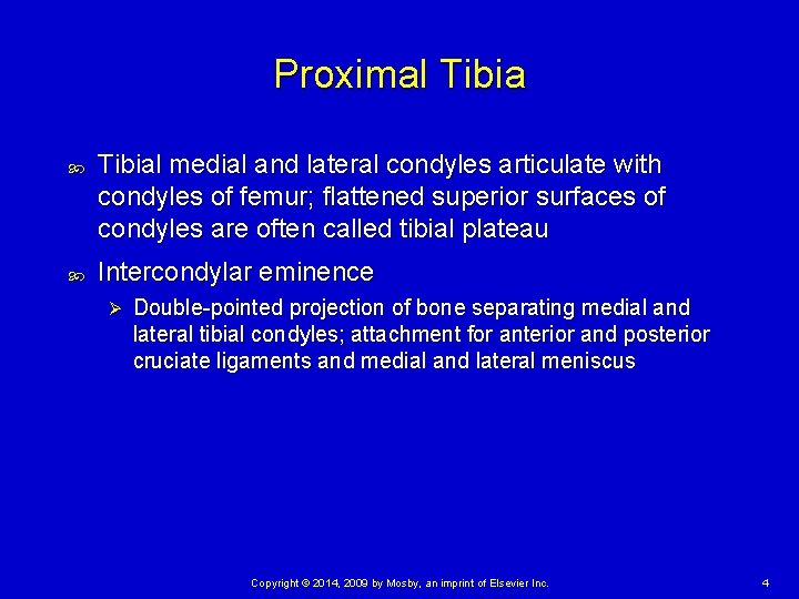 Chapter 10 Structure and Function of the Knee