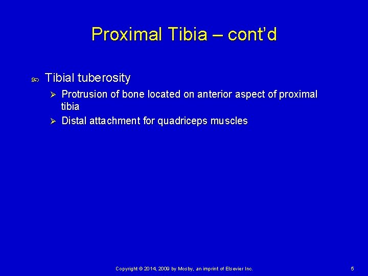 Chapter 10 Structure and Function of the Knee