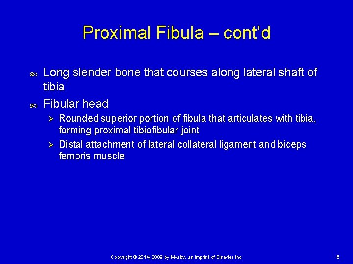 Chapter 10 Structure and Function of the Knee