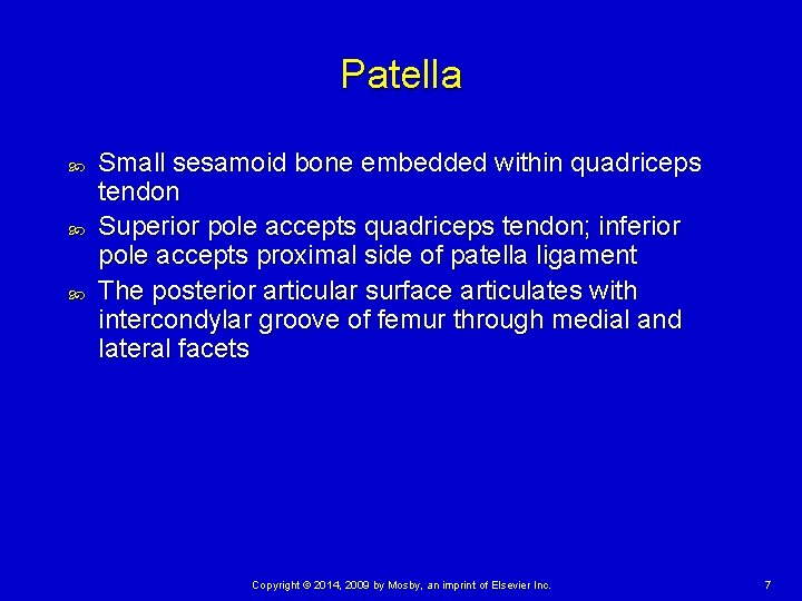 Chapter 10 Structure and Function of the Knee