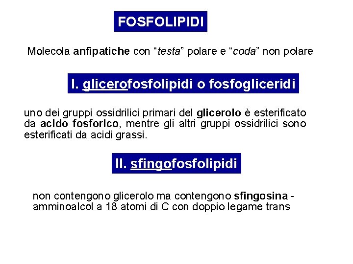 Struttura dei Lipidi fosfolipidi cerebrosidi gangliosidi isoprene ...