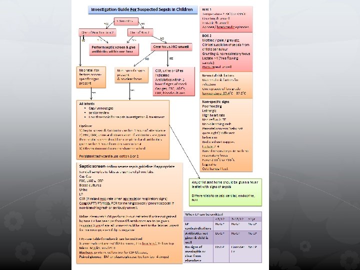 Paediatric Emergency Medicine Infections Sepsis Exanthemata Diane ...