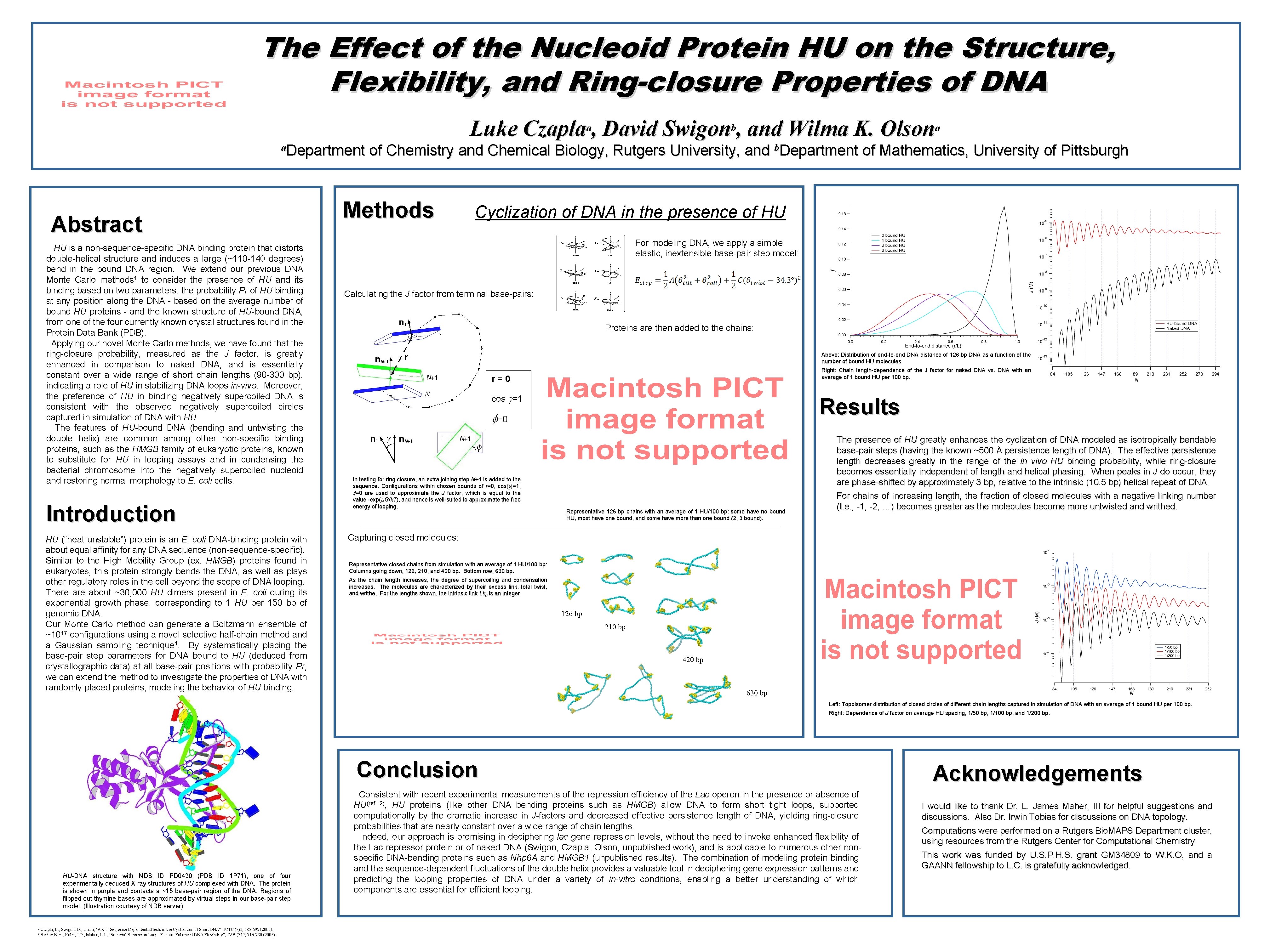 The Effect of the Nucleoid Protein HU on