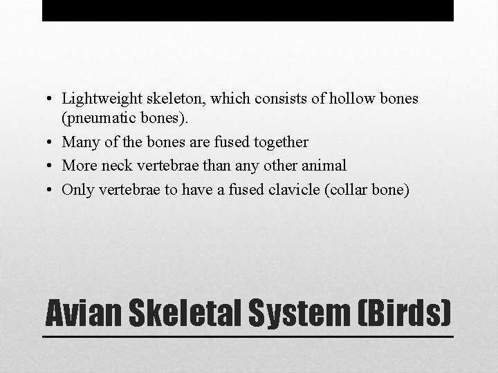 Skeletal System By Chryslyn Braxton and Nate The