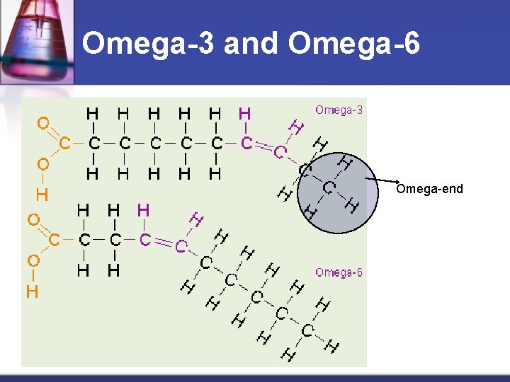 Macromolecules Lipids IBBiology Topic 2 3 Meat Alternatives