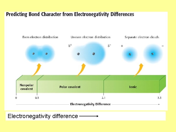 Chapter 6 Chemical Bonding What is holding a