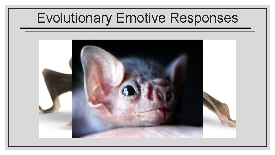 BRIDGING THE UNCANNY VALLEY CREATING FEELING IN COMPUTERS