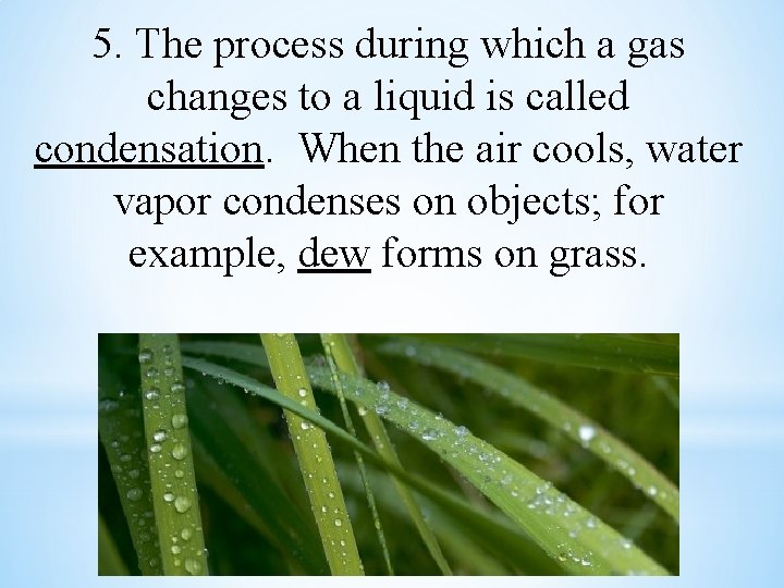 Chapter 7 Lesson 2 The Water Cycle Pages