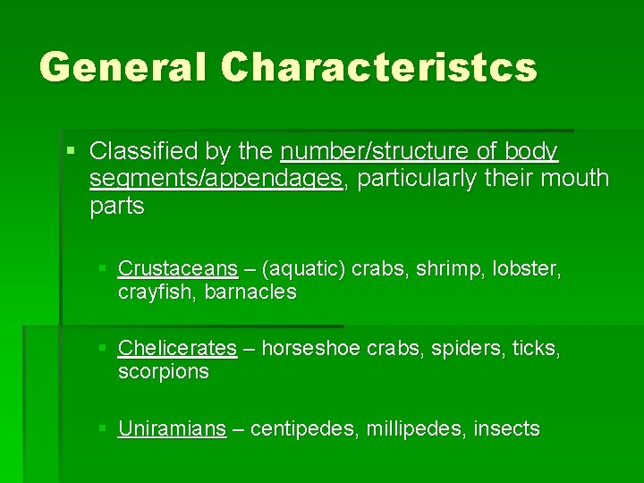 Phylum Arthropoda General Characteristics Segmented body head thorax