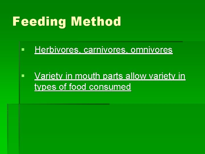 Phylum Arthropoda General Characteristics Segmented body head thorax