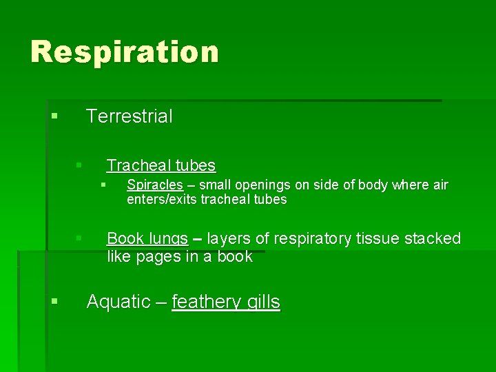 Phylum Arthropoda General Characteristics Segmented body head thorax