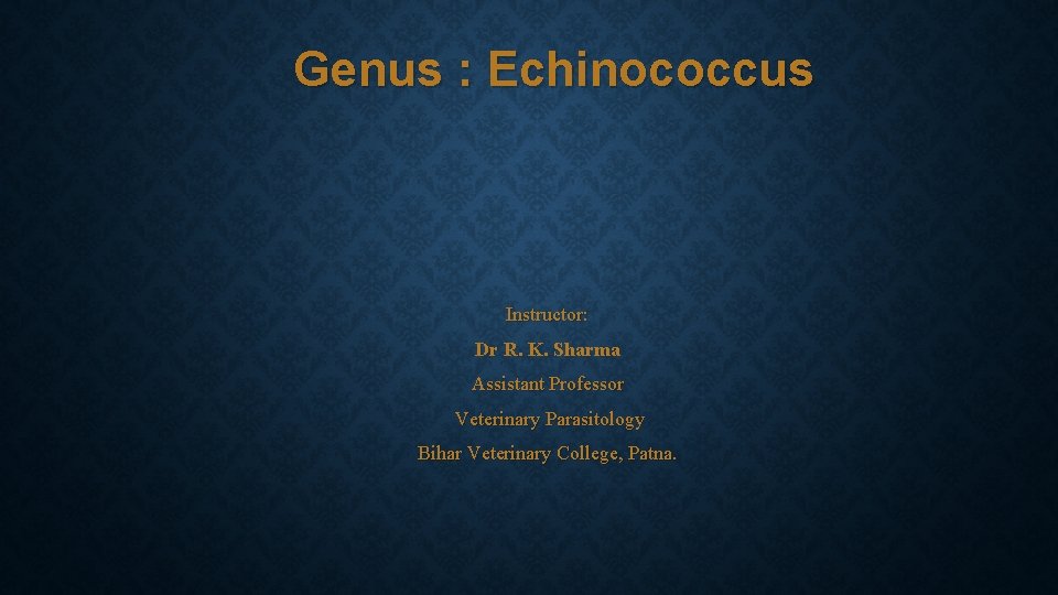 Genus Echinococcus Instructor Dr R K Sharma Assistant