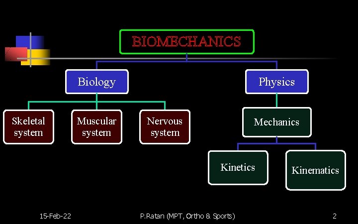 BIOMECHANIC S CONCEPTS BIOMECHANICS Study of Biological Systems