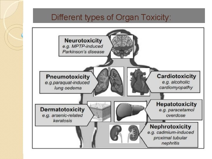 Mphil Pharmacology 2 nd Sem Subject Advanced General