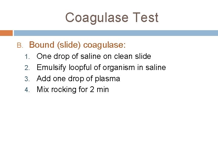 STAPHYLOCICCI Lecture 3 Staphylococcus sp Morphology Gram positive