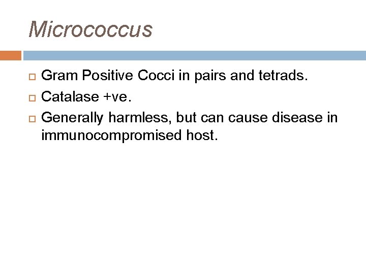 STAPHYLOCICCI Lecture 3 Staphylococcus sp Morphology Gram positive