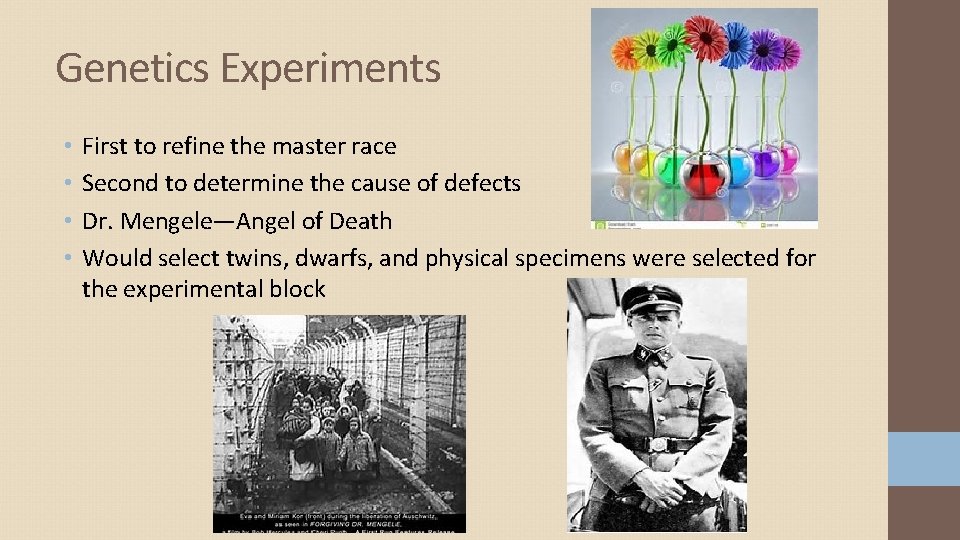 Medical Experiments of the Holocaust By Donovan Cooper