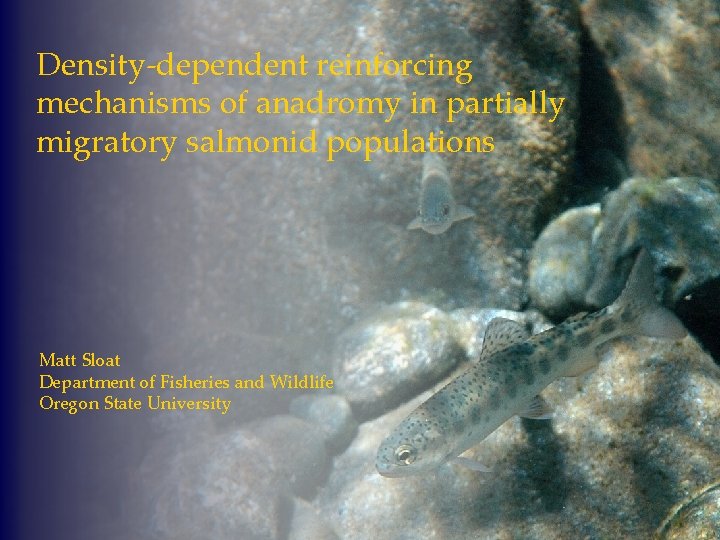 Densitydependent reinforcing mechanisms of anadromy in partially migratory