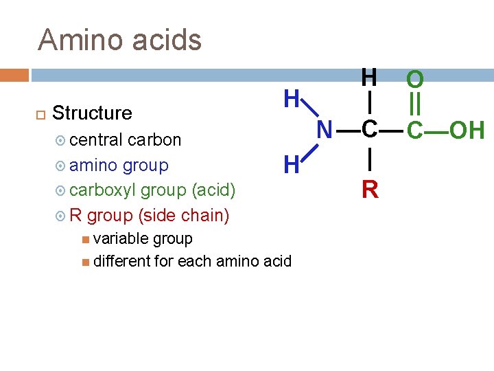 Proteins Structurally functionally diverse group of biomolecules Function