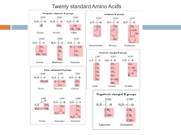 Proteins Structurally functionally diverse group of biomolecules Function