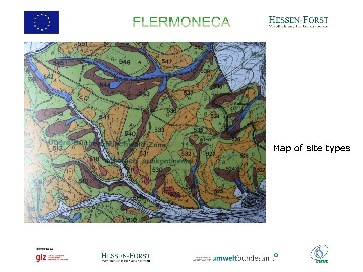 Development of Afforestation Programs and their Implementation 2