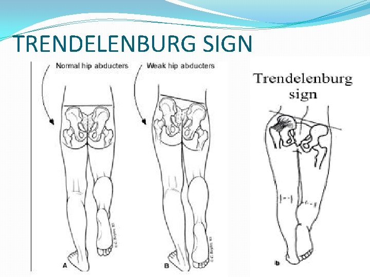 Dr P K Sharma Professor Department of Anatomy