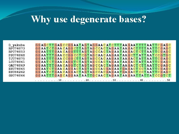 pcr amplification of phage genes Tucson High School
