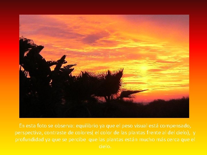 ELEMENTOS DE LA FORMA COLOR SINTAXIS DE L