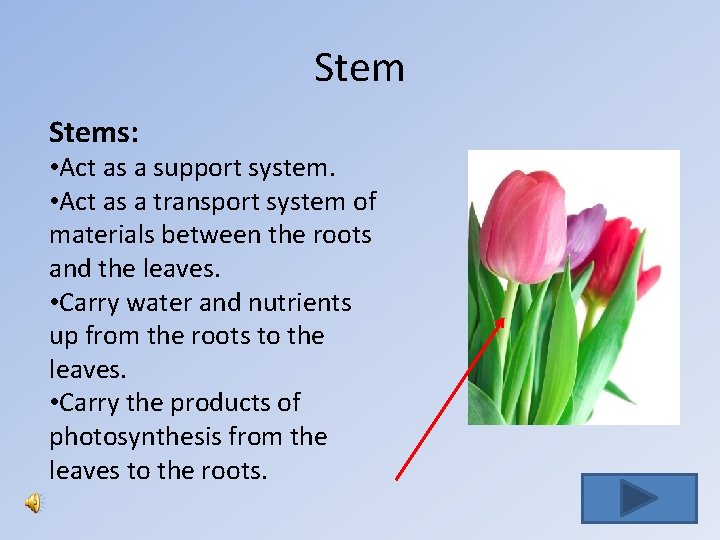 Parts of a Plant Introduction Seeds Provide Protection