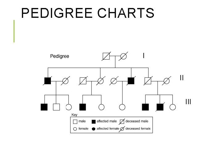 PEDIGREE CHARTS The family tree of genetics PEDIGREE