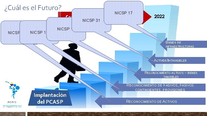 Implementacin de las Normas Internacionales de Contabilidad del