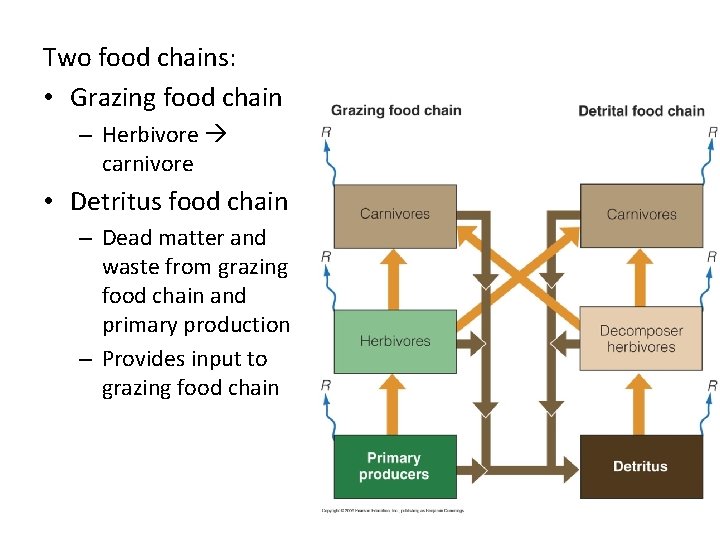 Biogeochemical Cycles Lecture 11 Chapter 23 Nutrients Macronutrients