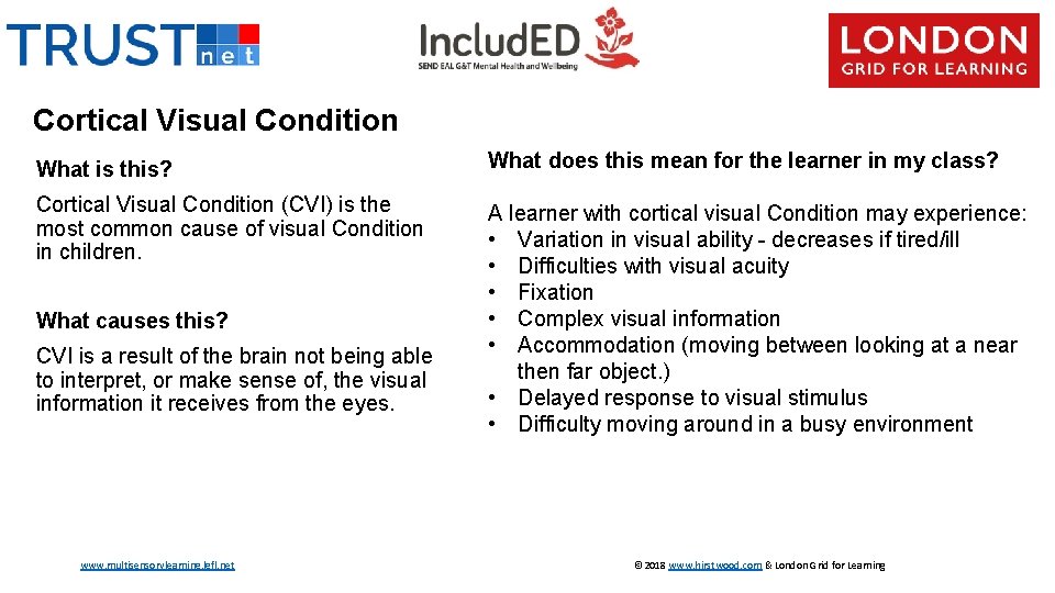 3 Sensory Considerations for Learners with Visual Hearing