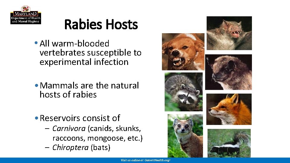 Rabies A global threat requiring local vigilance Jennifer
