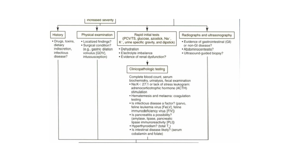 Diseases of the Stomach FUNCTIONAL ANATOMY The stomachs