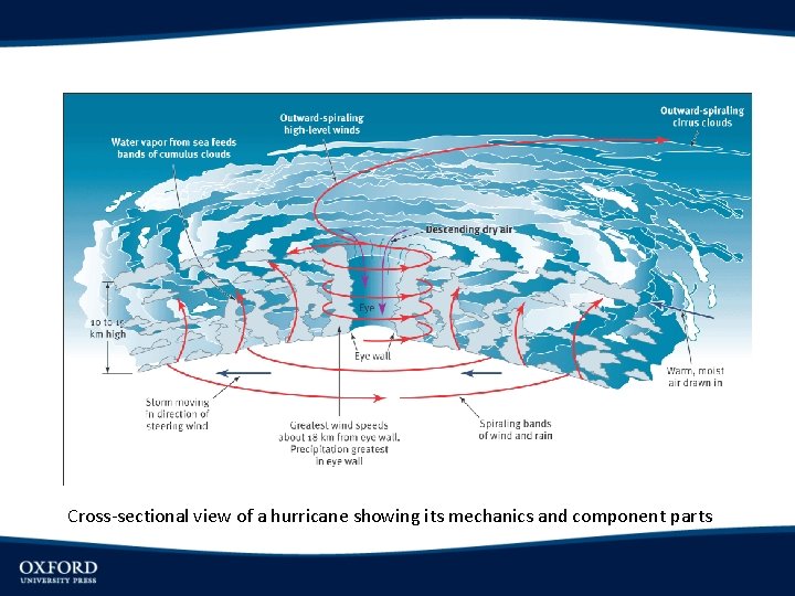 Unit 13 WEATHER SYSTEMS The image above shows