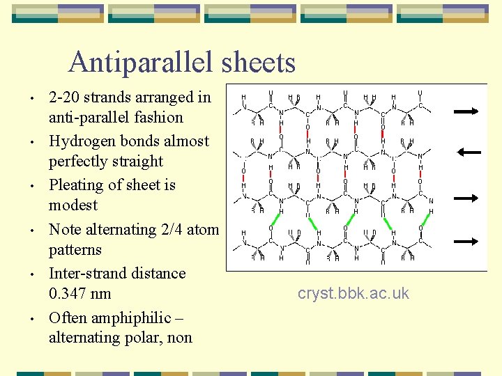 Protein Structure Realities Andy Howard Biology 555 3