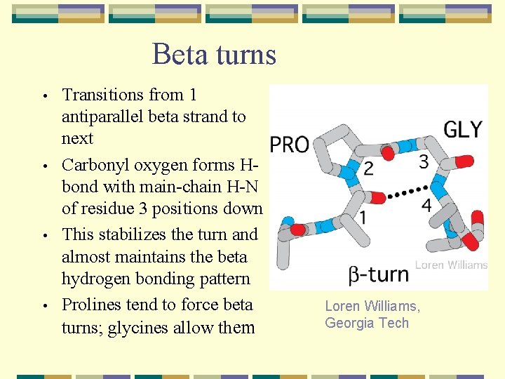 Protein Structure Realities Andy Howard Biology 555 3