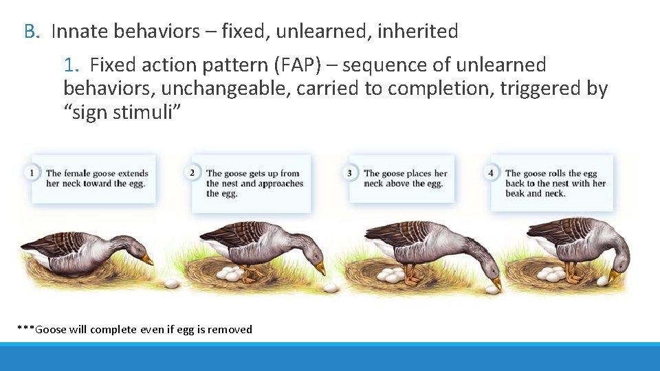 Animal Behavior CHAPTER 51 I Sensory Input Behavior