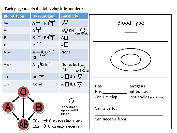 Blood Type Booklet Each page needs the following
