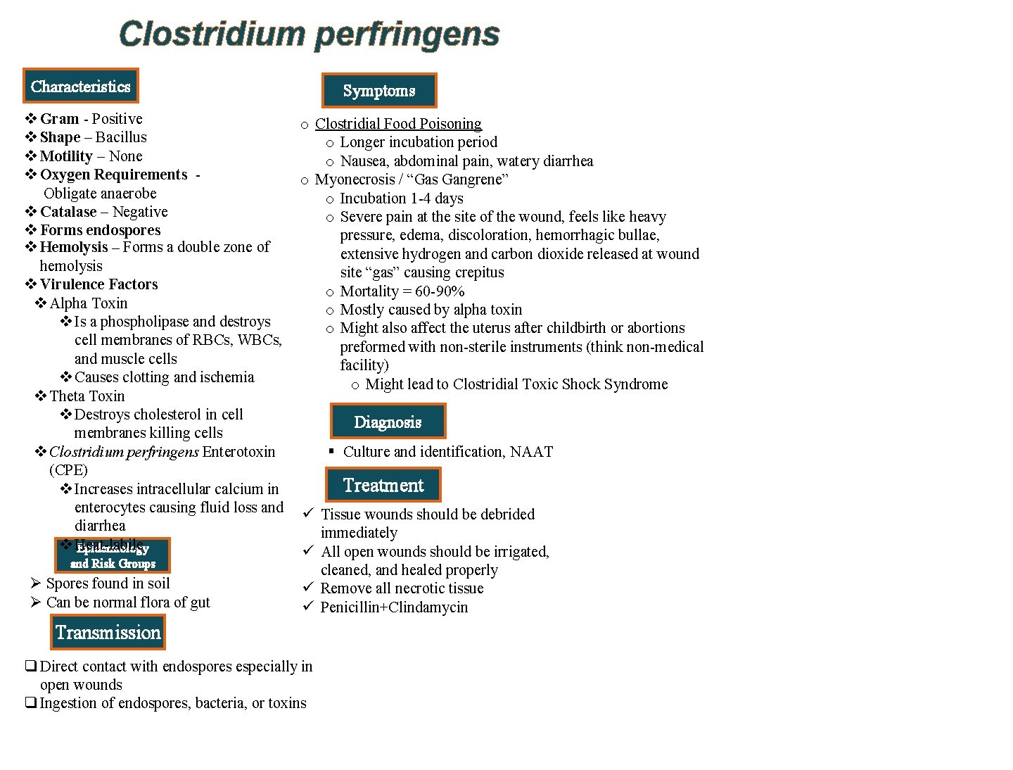 Clostridium perfringens Characteristics Symptoms v Gram Positive o
