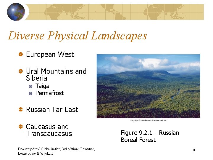 Chapter 9 The Russian Domain Diversity Amid Globalization