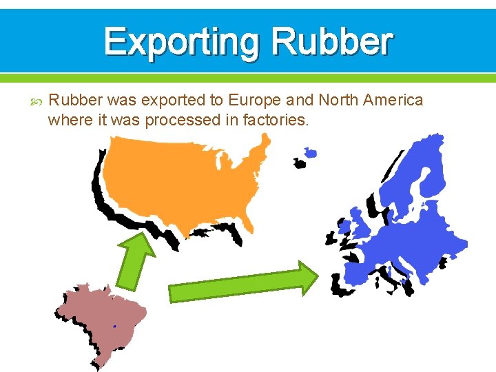 The Rubber Industry in Brazil Past and Present