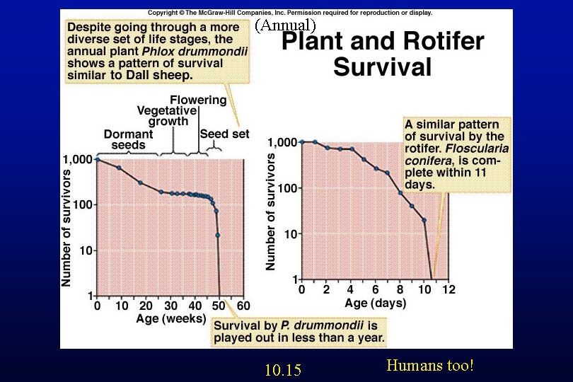 Population Ecology 4 Life Tables Chap 10 A