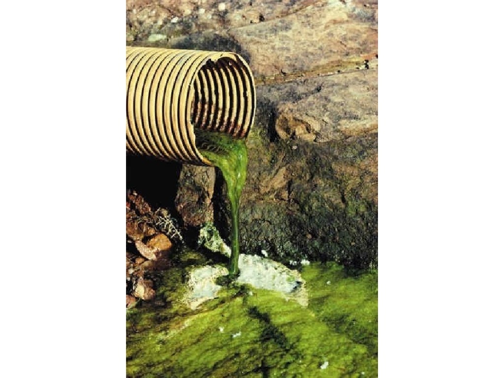 Bellringer What makes water hard Freshwater Pollution Notes