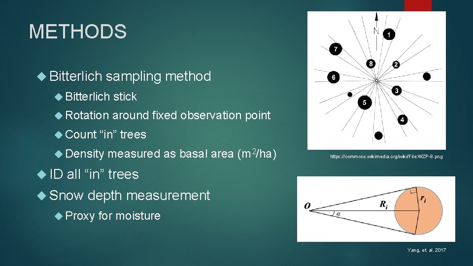 The Effects of Slope Aspect on Tree Density