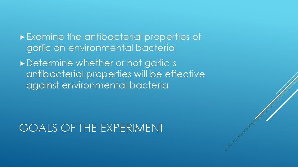THE ANTIBACTERIAL EFFECTS OF ALLIUM SATIVUM GARLIC ON