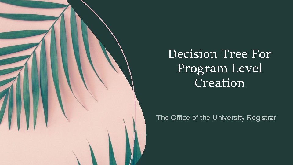 Decision Tree For Program Level Creation The Office